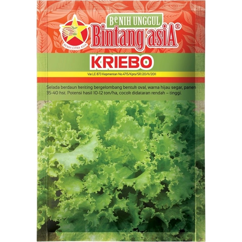 BINTANG ASIA - BENIH SALAD KERINTING PACK 10 GRAM CURLY LETTUCE SEED ...