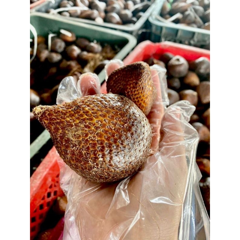 BUAH SALAK MADU (1KG) Salak Pondoh | Shopee Malaysia
