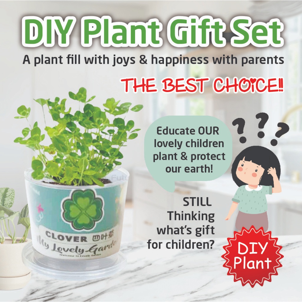 ECO PRINT MALL/Giftanda/Plant Gift For Children/DIY Mini Plant/Birthday ...