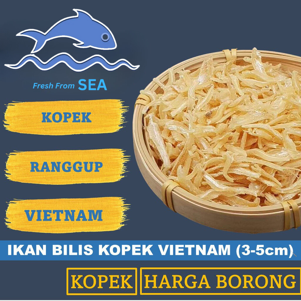 500g | 1000g 【 HARGA BORONG 】( KOPEK ) IKAN BILIS VIETNAM BERSIH ...