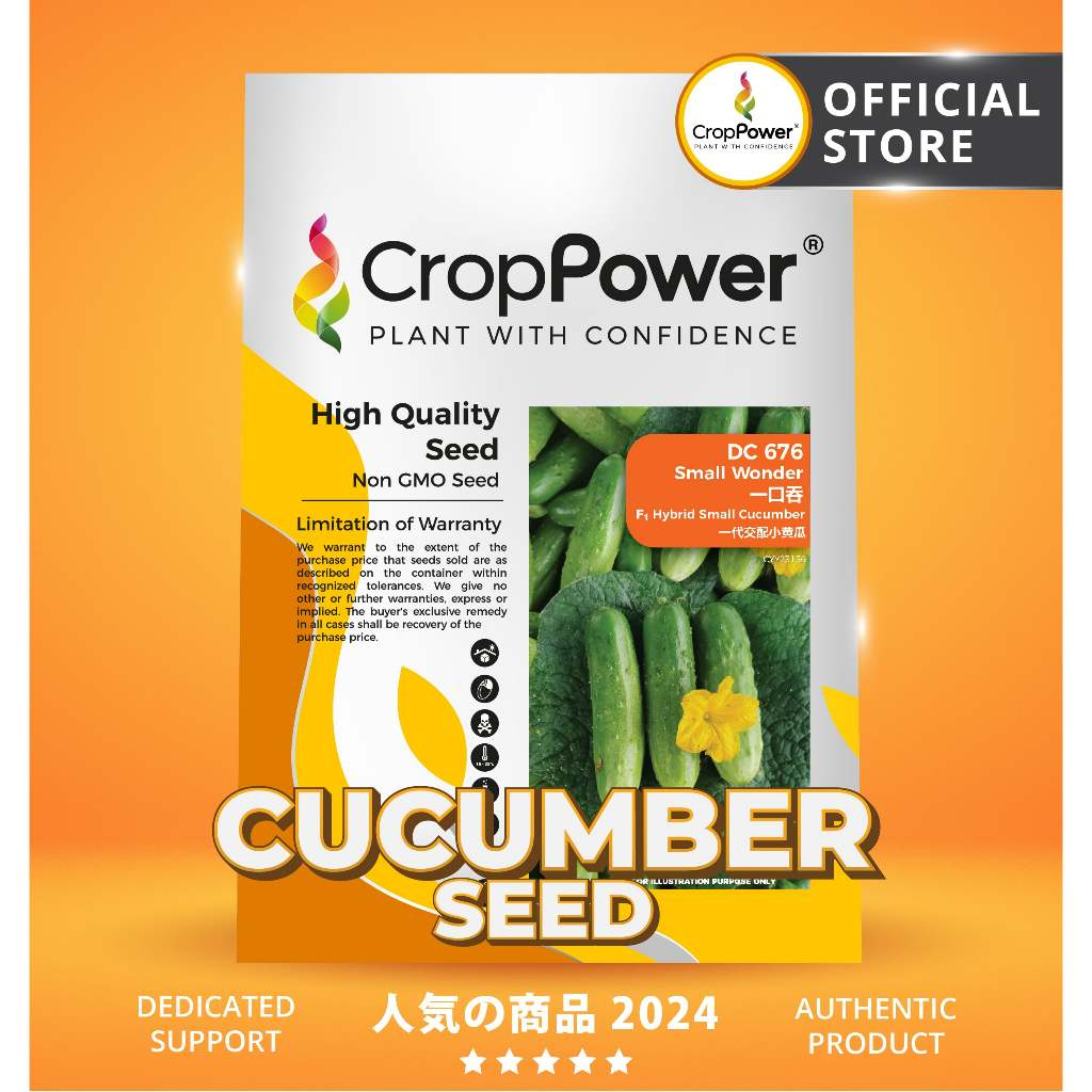 (10 GRAM) Biji Benih Timun Kecil Small Wonder 一口吞 DC676 CROP POWER Mini ...