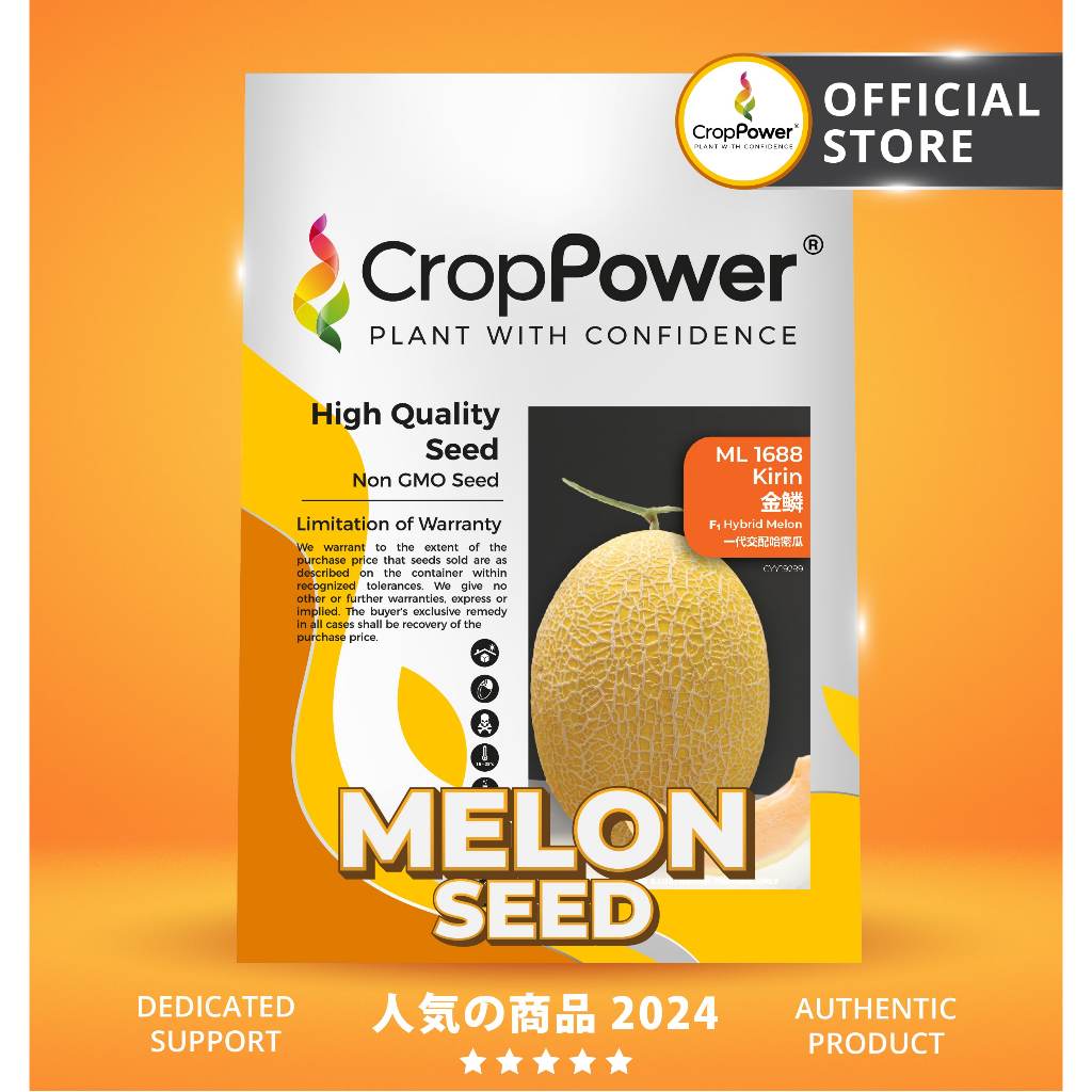 HOT ITEM🔥 (100 SEEDS) Biji Benih Hami Melon Kirin 金鳞 ML1688 CROP POWER ...