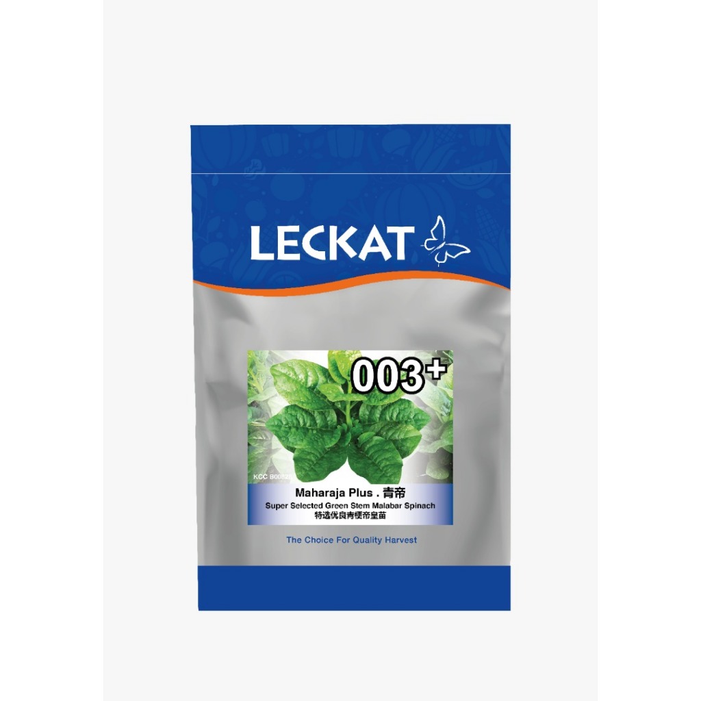 (50g / 100g / 500g) Leckat 003+ Maharaja Plus Malabar Spinach / Bayam ...