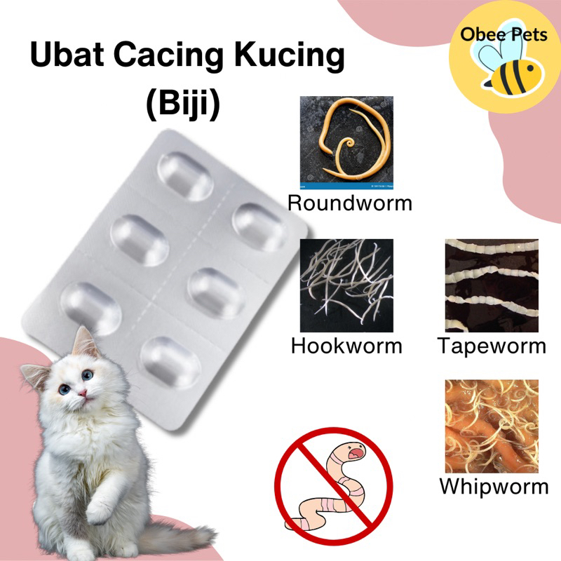 Ubat Cacing Kucing Biji Formula Khas Kucing Cat Dewormer Parasit ...