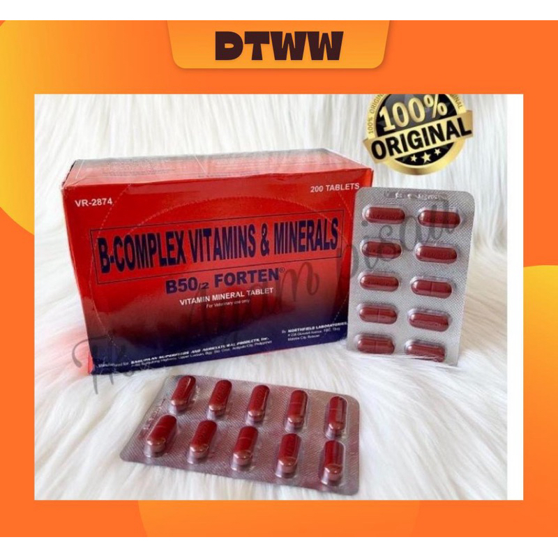 B50 FORTEN TABLET Vitamin 1box | Shopee Malaysia