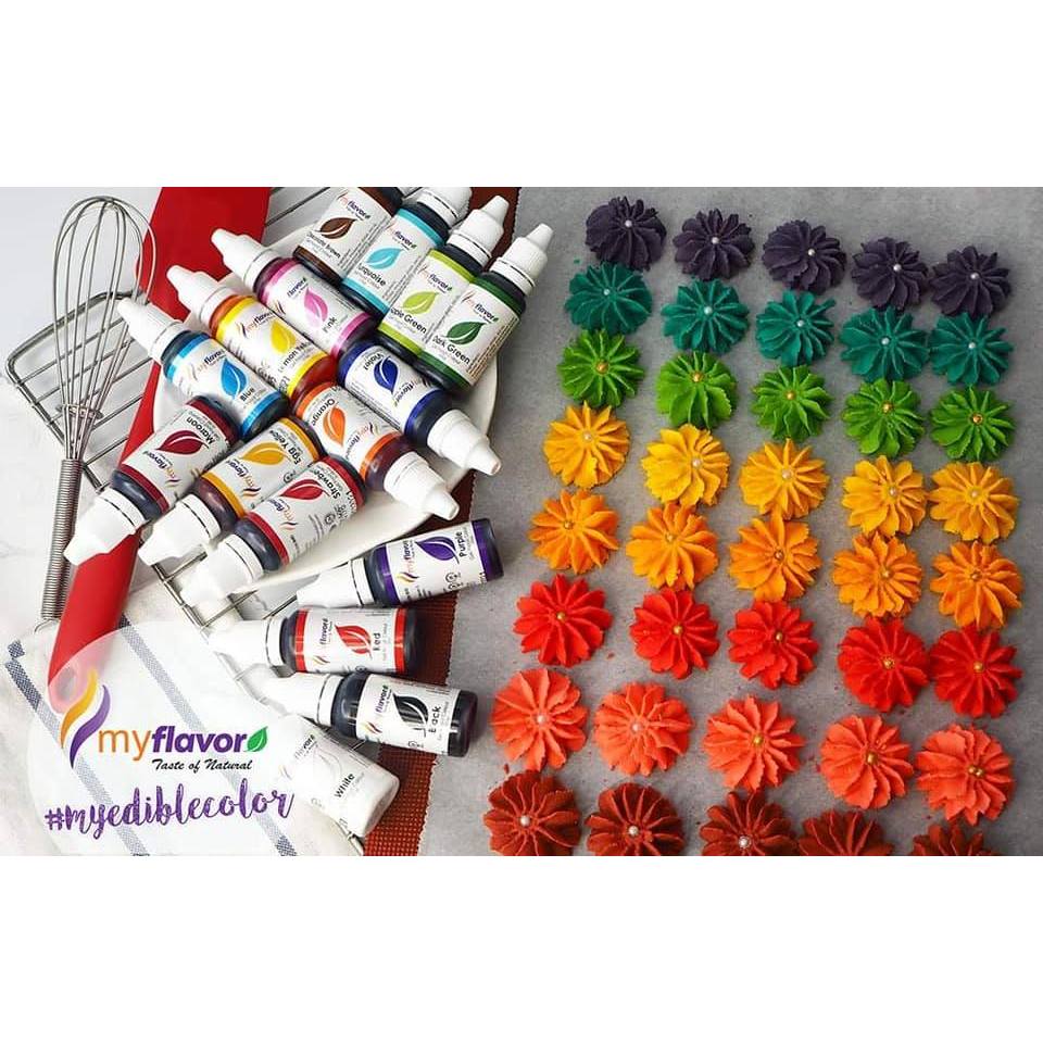 My Flavor Food Coloring Gel Based Edible Food Colouring HALAL 食用色素 ...