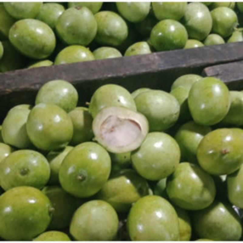 Pelam Telor/Mangga Muda/Epal 1KG | Shopee Malaysia