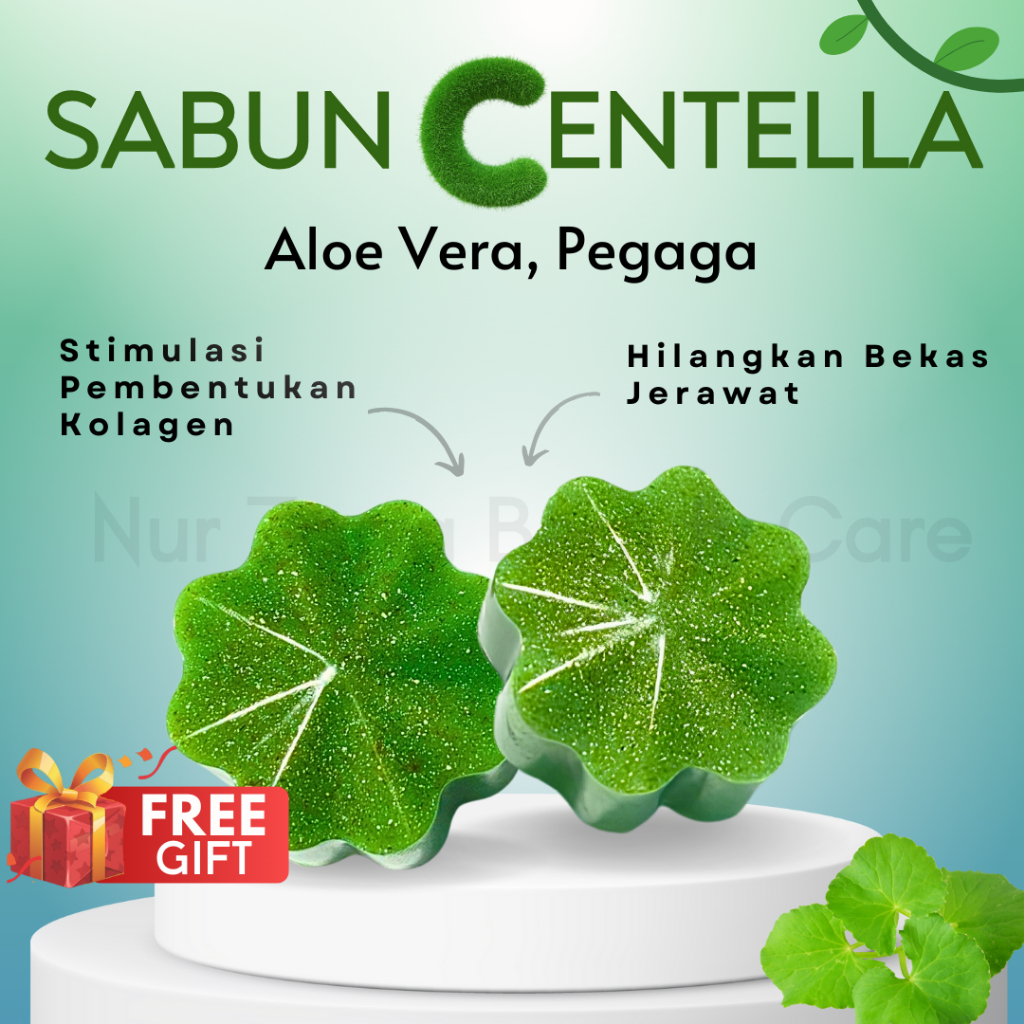 🔥𝗦𝗮𝗯𝘂𝗻 𝗖𝗲𝗻𝘁𝗲𝗹𝗹𝗮 𝗔𝗹𝗼𝗲 𝗩𝗲𝗿𝗮 Pembentukan Kolagen, Antioksidan Anti ...