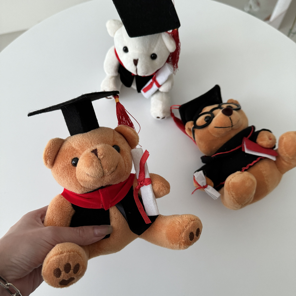 [Ready Stock](15cm) Big Cute Graduation Teddy Bear / Anak Patung ...