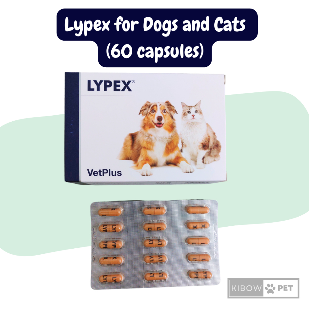 Lypex for Dogs and Cats (60 capsules) | Shopee Malaysia