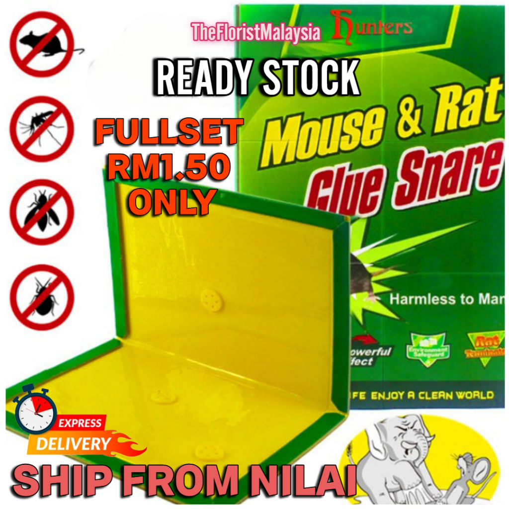 🔥𝑹𝑬𝑨𝑫𝒀 𝑺𝑻𝑶𝑪𝑲🔥《 ANTI RAT BAIT》Super Mouse Glue Trap Snake Bugs Rat Mice ...