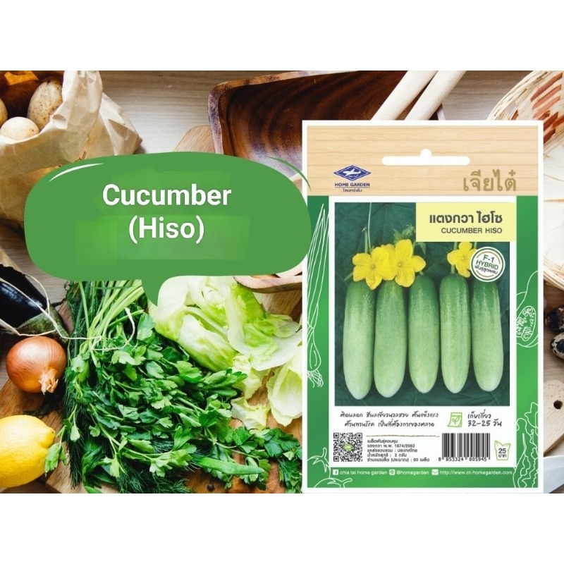 🌱Ready Stock 🌱Imported Cucumber Hiso Seeds F1 / Benih Timun Cina / Chia ...