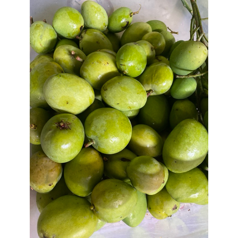BUAH MANGGA TELOR / PAUH RINGAN 1 KG | Shopee Malaysia
