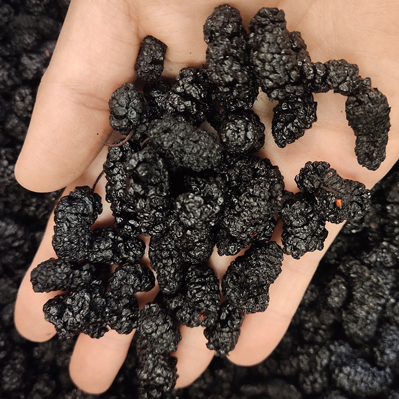 High Quality Dried Mulberry Traditional herb Mulberi Kering 桑葚果干 ...