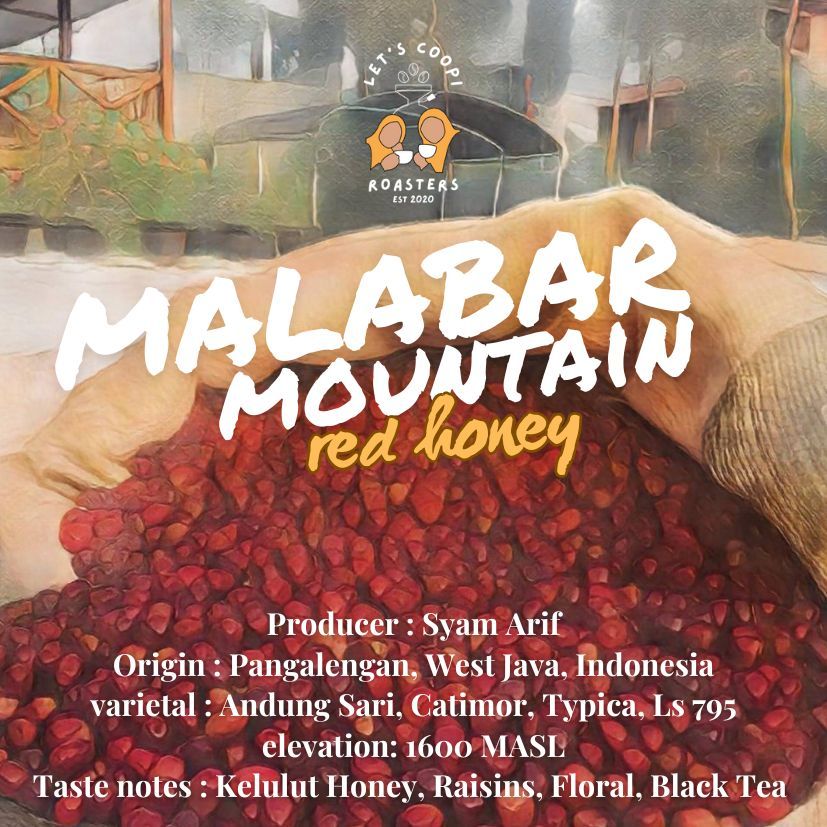 Let's Coopi Specialty - Malabar Mountain Red Honey (West Java) | Shopee Malaysia