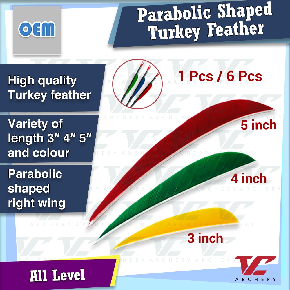 V Club Archery Turkey Feather Parabolic Shaped Fletching Vanes - 3" 4 ...