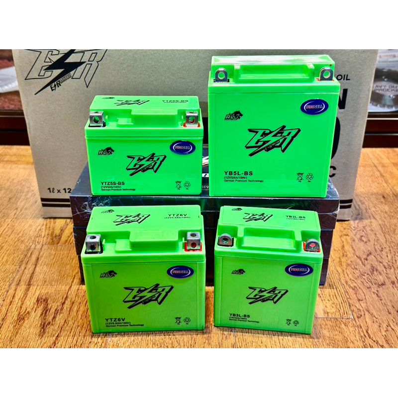ESR MOTOR RED LEO BATTERY PICOCELL YTZ5S-BS/YTZ6V/YB5L-BS/YB3L-BS ...