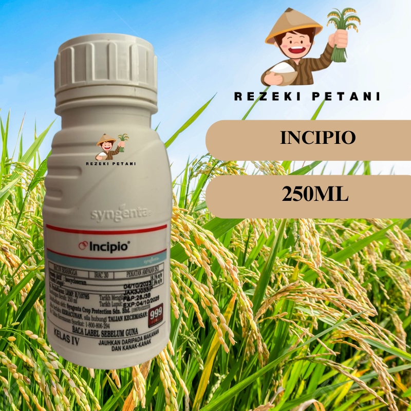 [ORIGINAL] 250ML Incipio Syngenta Racun Serangga Paddy Padi ...