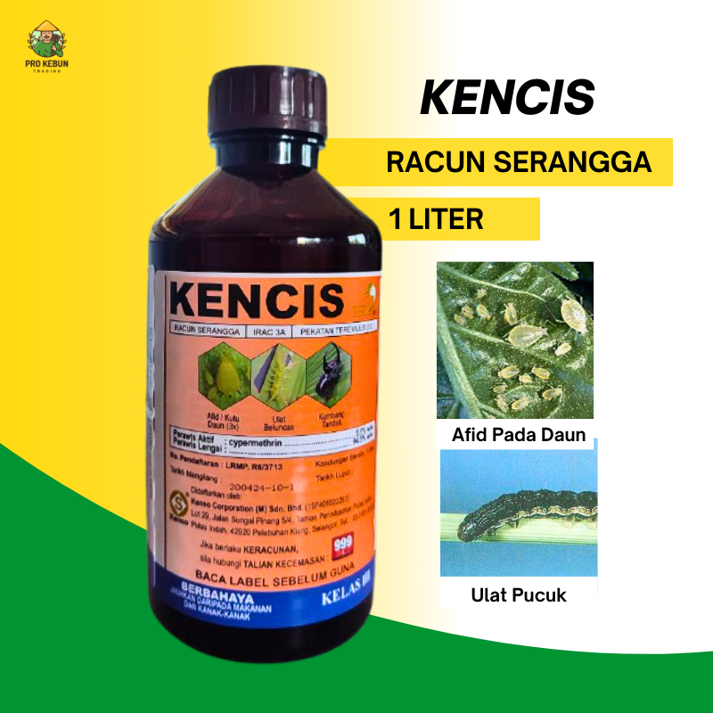Kencis 1 Liter Racun Serangga Insecticide Racun Lalat Buah Ulat Pengorek Serangga Tanaman ...