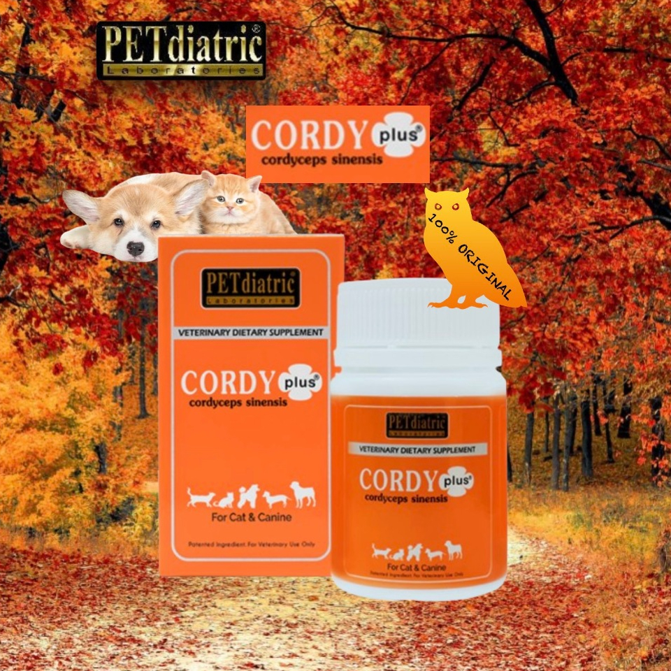 CORDY PLUS, cordyceps sinesis FOR CATS AND DOGS, PETdiatric ...