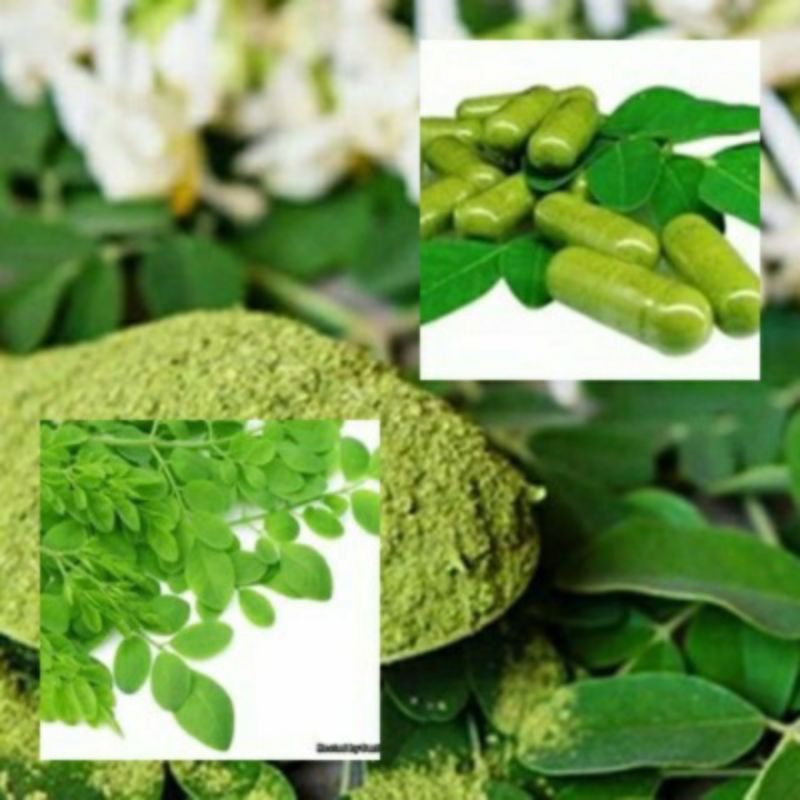 Moringa vegan capsule-kapsul moringa (packing 50vegan capsule) | Shopee ...