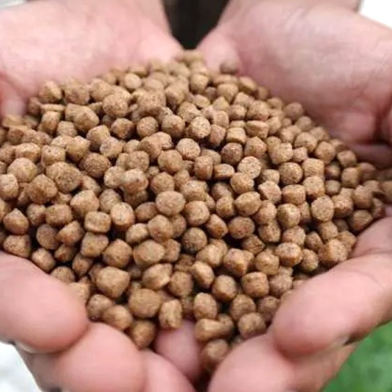 Palet Makanan Ikan Hias Air Tawar Kolam Koi Emas Puyu Sepat Keli ...