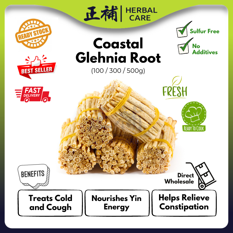 Coastal Glehnia Root (Sha Shen) 北沙参节 100g 300g 500g Herbal Care ...