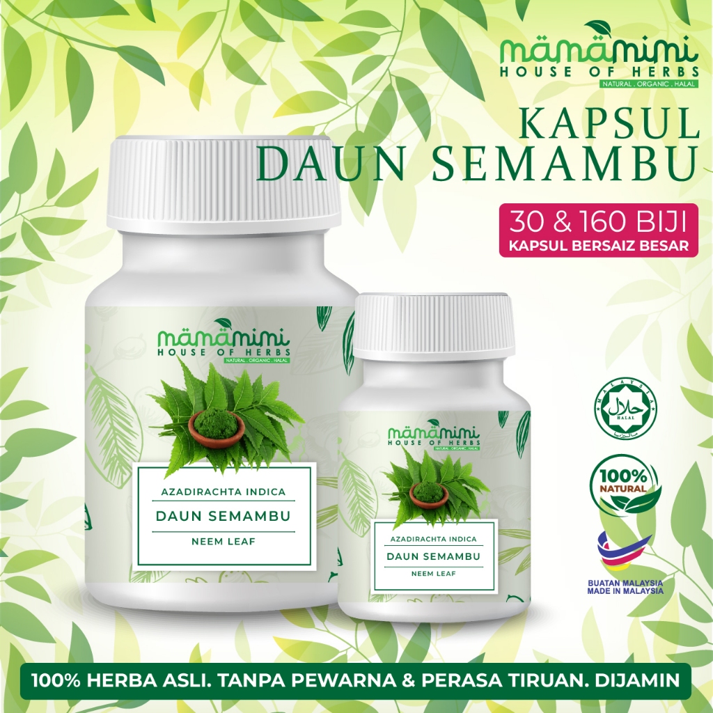 Kapsul Semambu / Neem Leaf / Azadirachta Indica Leaf - 160biji/30biji ...