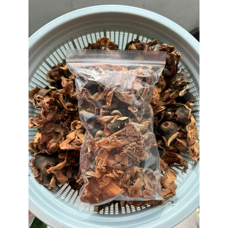 BUNGA RATU PARI BUNGA MUKMIN BERKUALITI GRED AAA | Shopee Malaysia