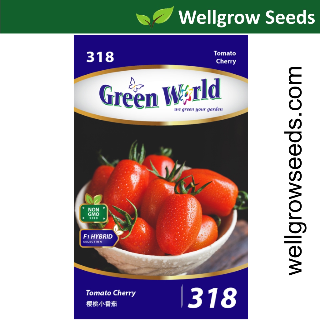 Tomato Cherry (30 seeds) 樱花番茄 Biji Benih Tomato Ceri Indeterminate ...
