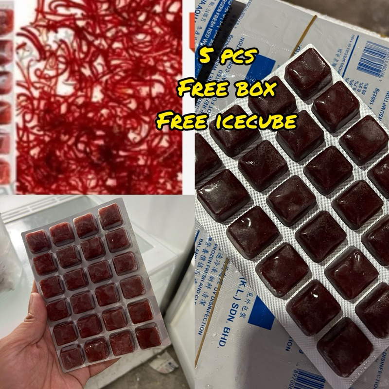 5 PCS CACING BEKU FROZEN BLOOD WORM | Shopee Malaysia