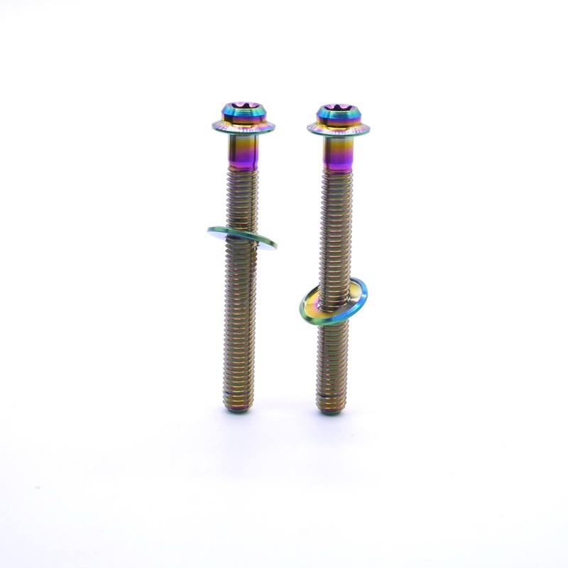 FRAMESANDGEAR TITANIUM ROADBIKE DISC BRAKE CALIPER BOLT M5*45 RAINBOW ...