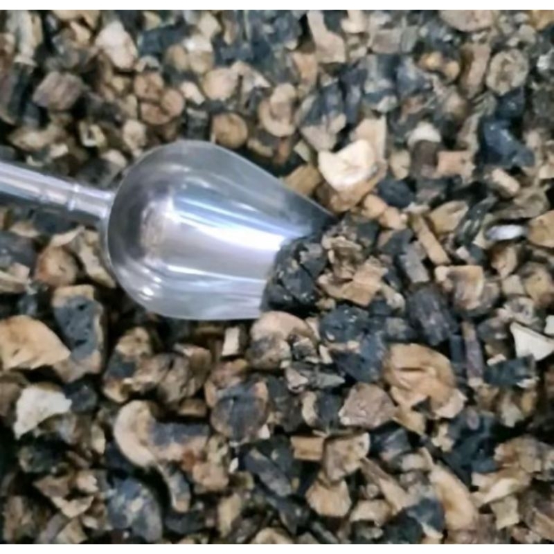 Gatot telo Asli gunugkidul makanan Khas Asli gunugkidul | Shopee Malaysia