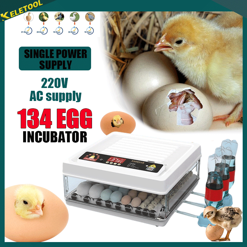 130 incubator egg automatic Thermostat alat mesin penetas tempat ...