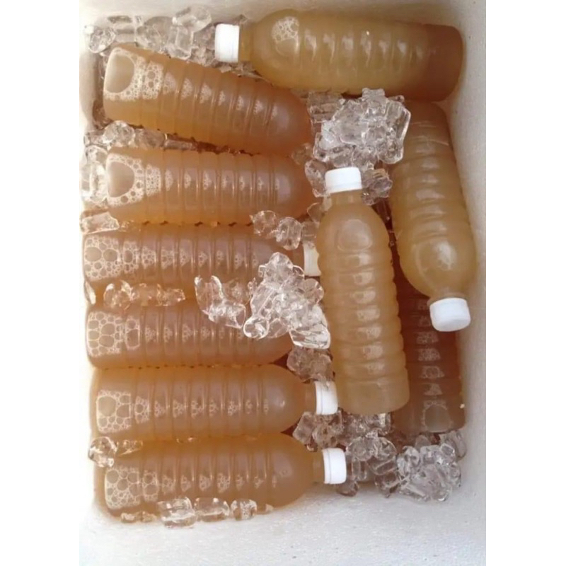 Air Nira Nipah Fresh 500ml | Shopee Malaysia