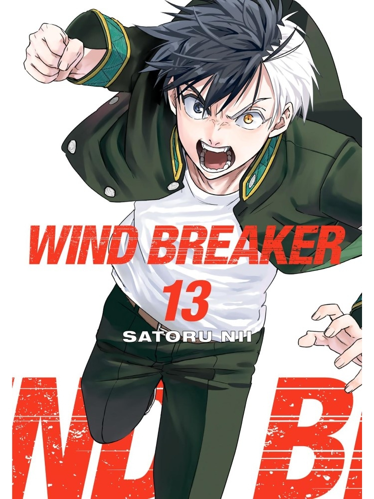 Wind Breaker (NII Satoru) • Manga • 1-201 Chapters • ONGOING | Shopee ...