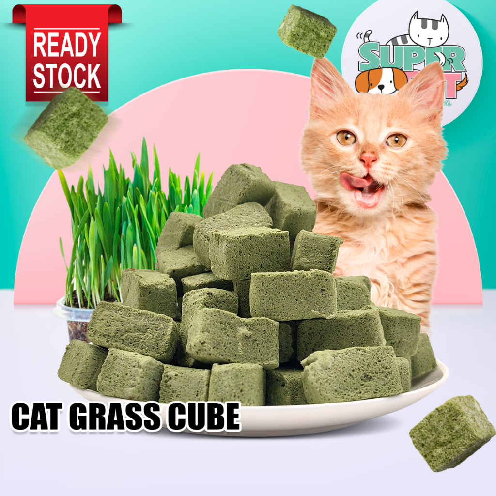 Freeze Dried Cat Grass Cube / Chicken Cat Grass Cube Hairball Removal ...