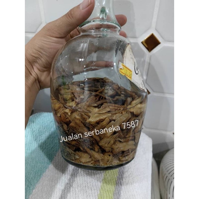 Air alkohol kampung rendaman akar kayu sesuai untuk perubatan(Nonhalal ...