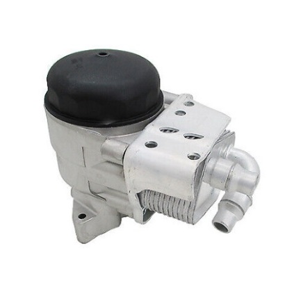 BMW E46 E60 E81 E82 E83 E84 E85 E87 E88 E90 E92 E93 N43 N46 Oil Filter ...