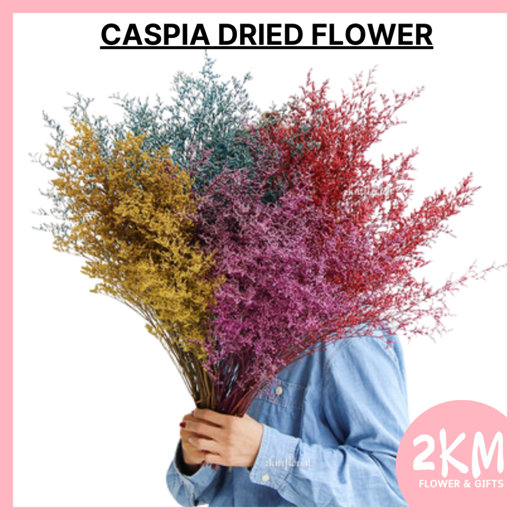 (60G) CASPIA Limonium Dried Dry Preserved Artificial Flower Bouquet ...