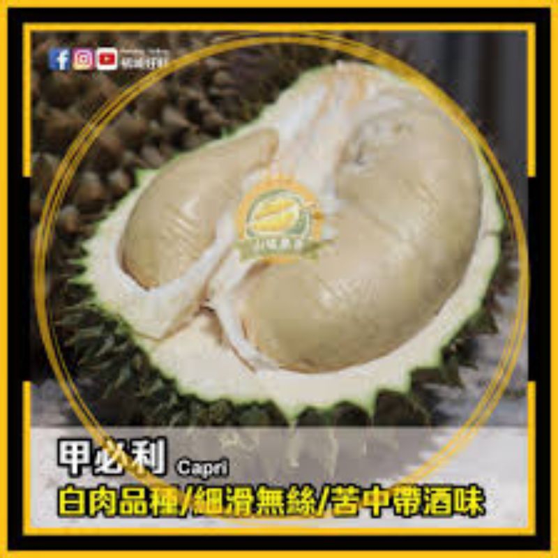 Pokok Durian Capri Penang(Pokok kawin) | Shopee Malaysia