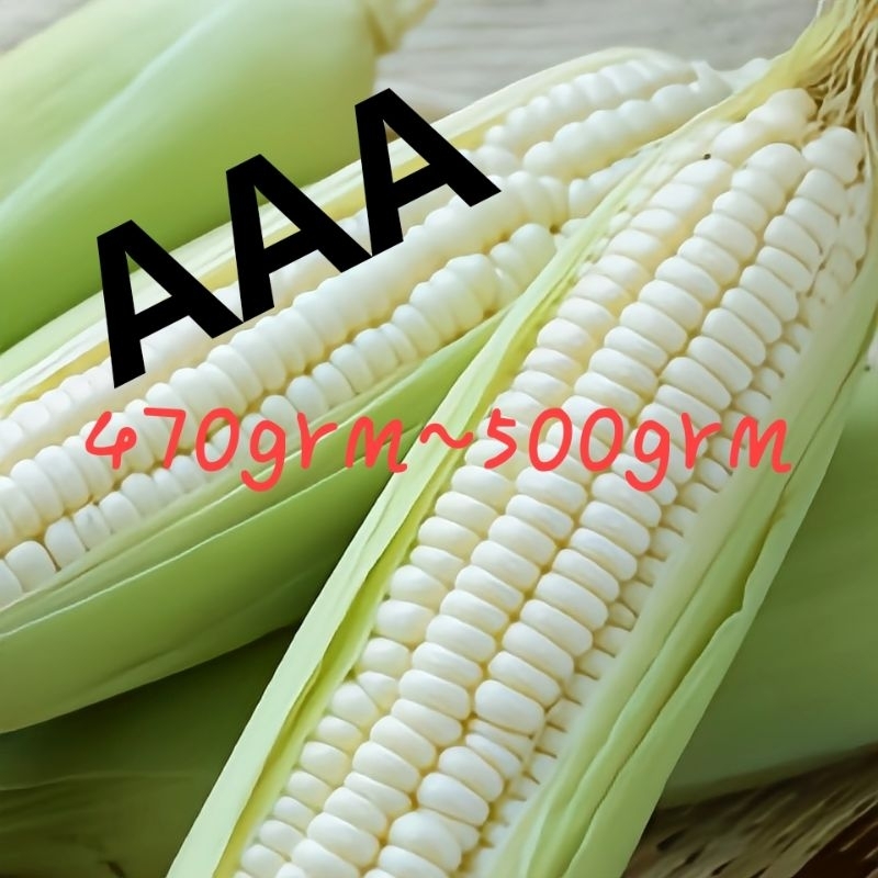 AAA size 5 batang🌽🌽,100%Cameron Jagung Susu🌽(5 Batang) | Shopee Malaysia