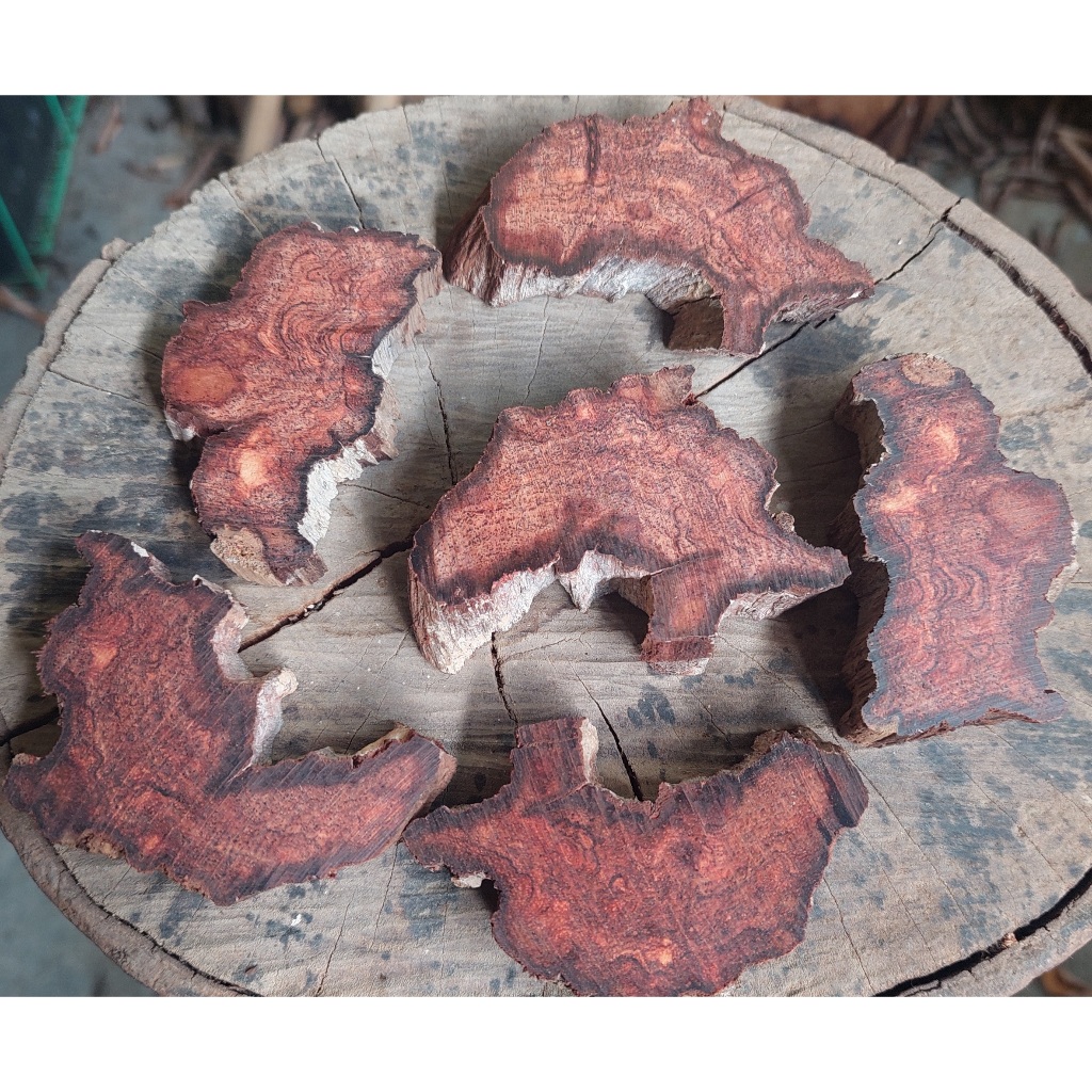 降真香 Kayu Menang/Laka wood 提升你的事業人緣運。 | Shopee Malaysia