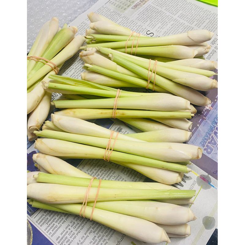 Serai Segar Paha Ayam / 1 Ikat 10 Batang (SiapCuci) | Shopee Malaysia
