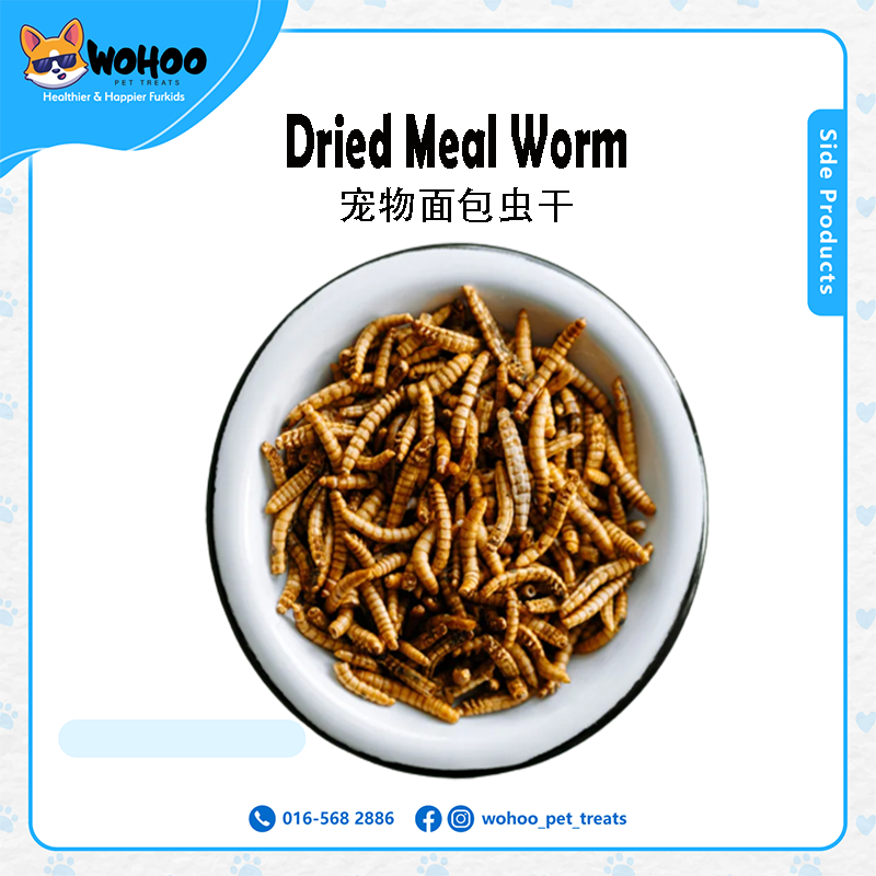 [50/100g]Dried MealWorm for Fish,Bird,Hamster,Reptiles,Hedgehog,Frog ...