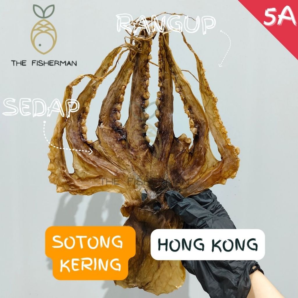 Sotong Kering Dried Hong Kong Octopus 100G 香港八爪鱼干 - The Fisherman ...