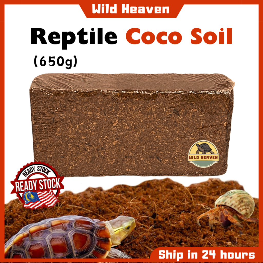 ReReptile Coco Peat Bedding Coconut Husk Soil Substrate Litter Tortoise ...