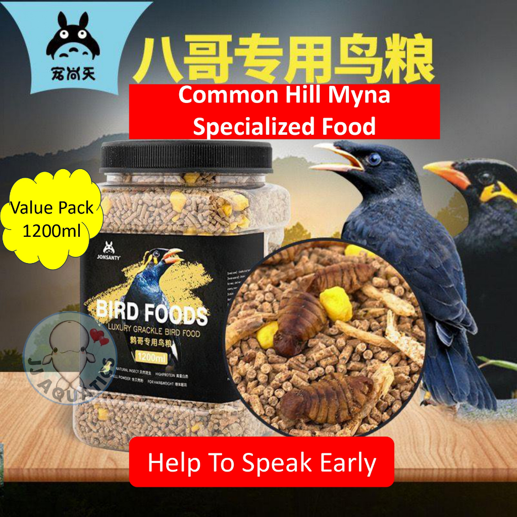 🔥Ready Stock🔥Jonsanty Luxury Premium Bird Food Common Hill Myna Crested ...
