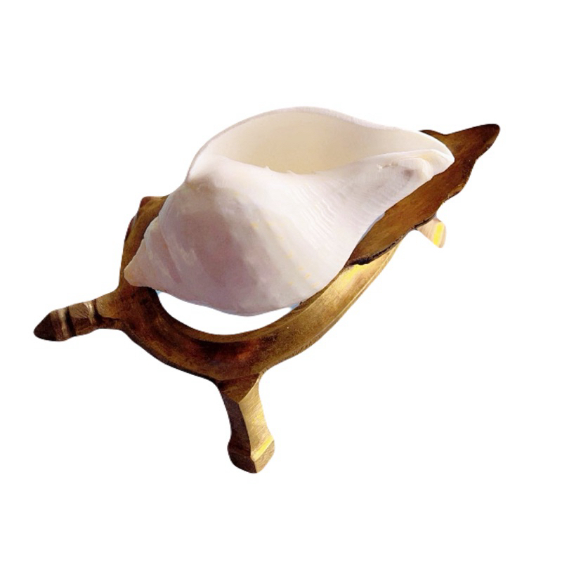 Original Lakshmi Sangu Conch Shell Shankh for Pooja Blowing Shankh ...
