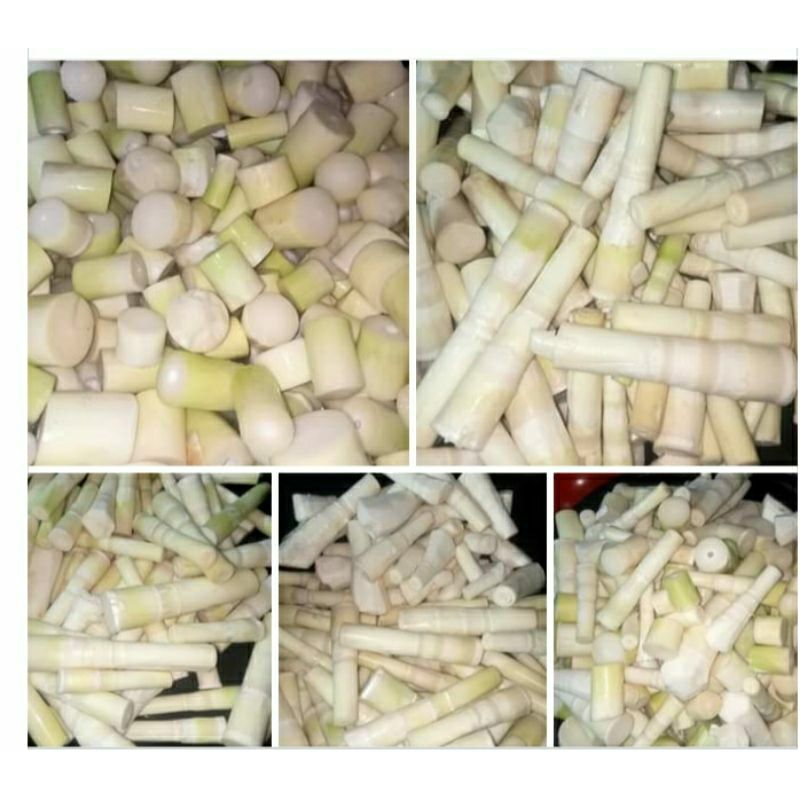 Rebung Segar Dari Kampung Setengah Kilo 1/2kg | Shopee Malaysia